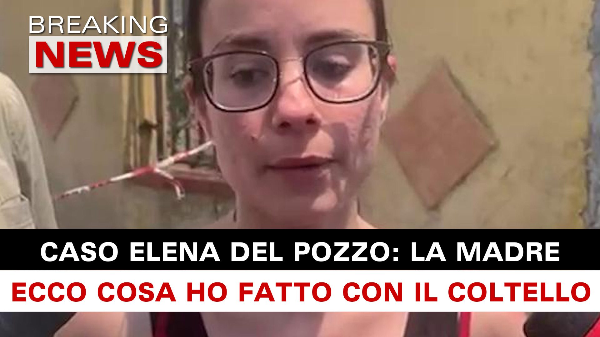 Elena Del Pozzo è stata uccisa dalla madre "Non è apparsa triste ...