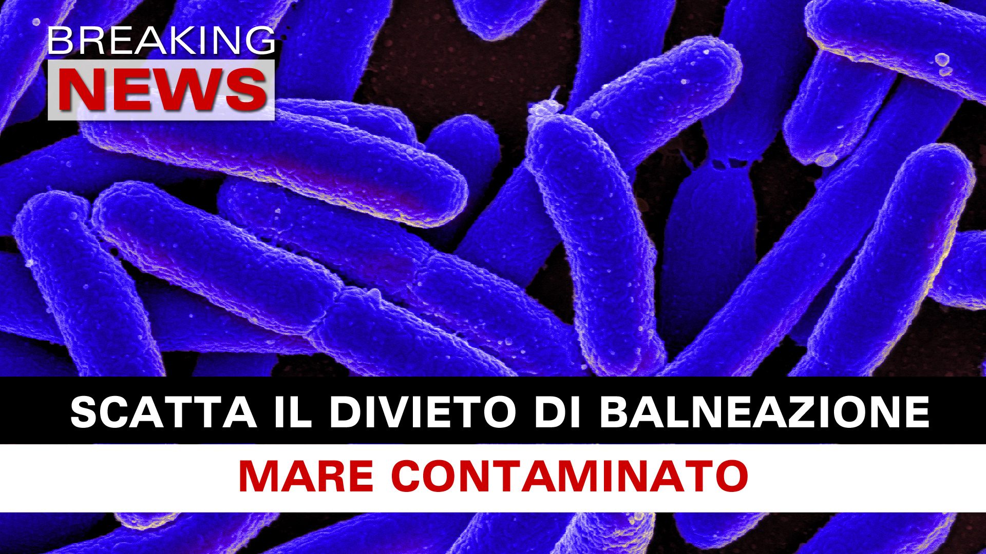 Divieto Di Balneazione: Mare Contaminato! - Breaking News Italia Divieto Di Balneazione: Mare Contaminato! - Breaking News Italia