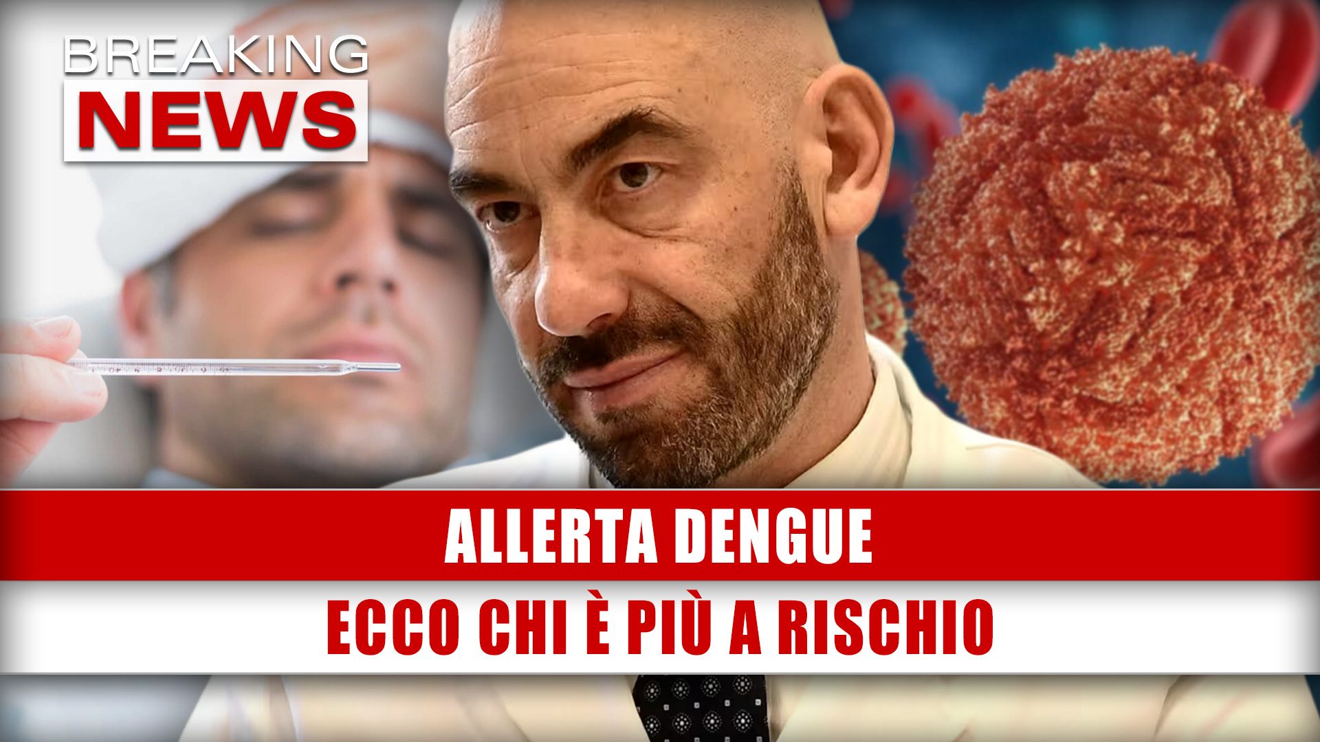 Allerta Dengue Ecco Chi È Più A Rischio Breaking News Italia